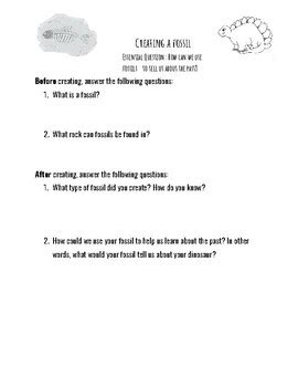 Creating A Fossil Handout By Rose In The 4th TPT