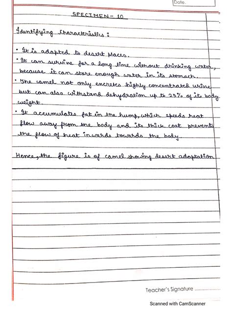 Bio Practical Part 2 Class 12 Pdf