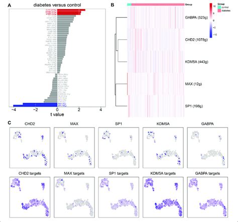 Single Cell Regulatory Network Analysis A The Top 50 Transcription