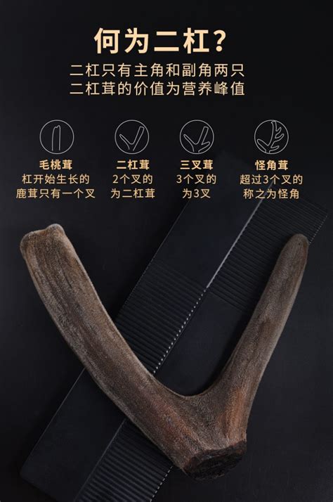 整枝干鹿茸二杠 梅花鹿鹿茸