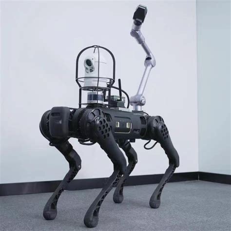 6th Workshop On Legged Robots