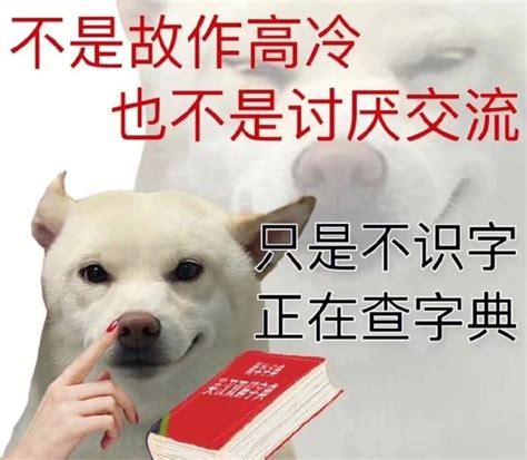 80张最近很火的发疯表情包 精神状态 无水印表情包 知乎
