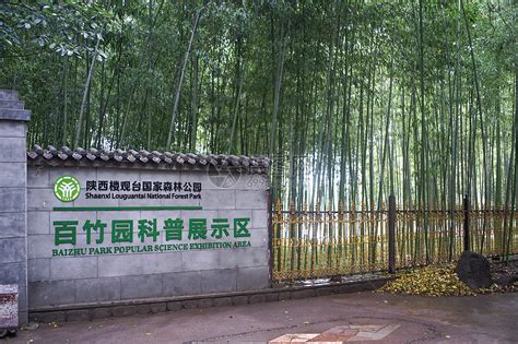 秦岭百竹园高清图片下载 正版图片501056801 摄图网