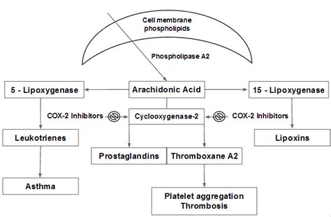 Cox 2 Inhibitors