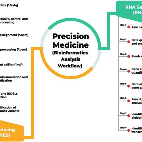 A Step By Step Bioinformatics Analysis Workflow For DNA Seq And Download Scientific Diagram