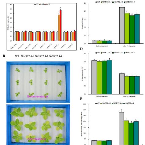 General Principle Of Bacterial Artificial Chromosome Bac