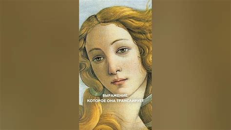 ВЕНЕРА Сандро Боттичелли учитель ренессанс Youtube