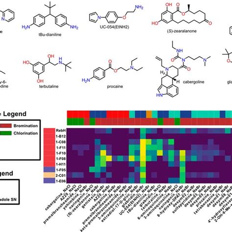 A Representative Compounds Included In Expanded High Throughput