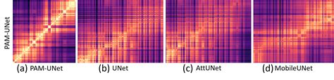 Perspective Unet Enhancing Segmentation With Bi Path Fusion And Efficient Non Local Attention