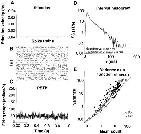 spike statistics for constant stimuli a a random bar pattern 10