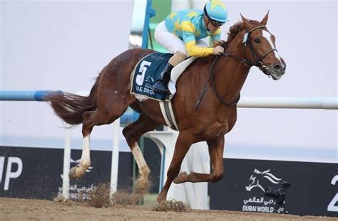 2023ブリーダーズカップ Jra Van World 海外競馬情報サイト