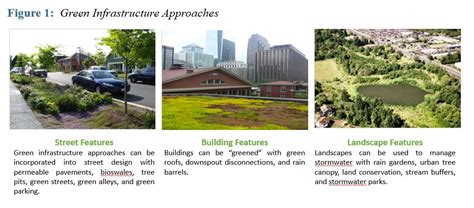 Green Infrastructure Toolkit Green Infrastructure Strategies And Techniques Georgetown
