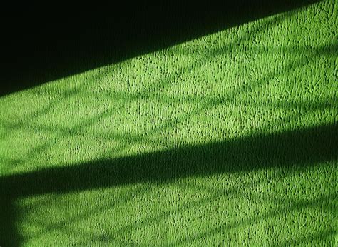 Premium Photo Light Shadows On Bumpy Green Wall Texture Backdrop