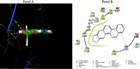 Binding Pose And Site Of 13benzodaoxolo56 C With Mtor Panel A 3d