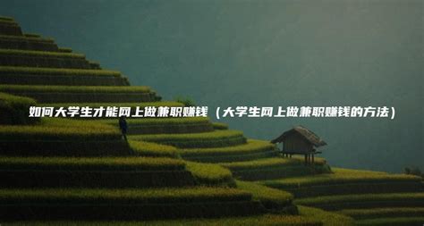 如何大学生才能网上做兼职赚钱大学生网上做兼职赚钱的方法 高羽网创