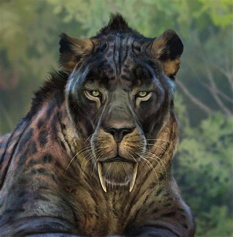 Prehistoric Sabertooth Smilodon In Melanistic Phase