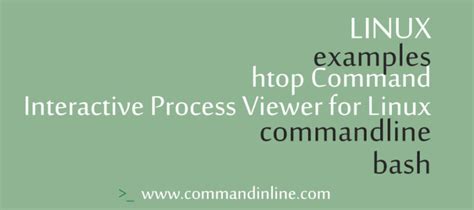 Htop Cheat Sheet Htop Command Line Guide