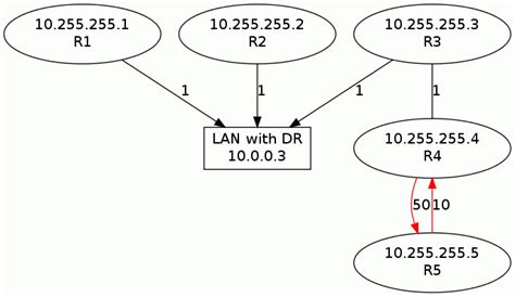 Networking Bodges Producing Topology Diagrams From Ospf Database Cli