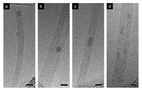 transmission electron microscopy of cobalt clusters annealed at 550 °c