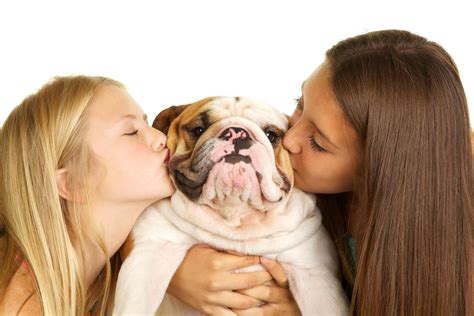 8 Reasons Pets Improve Your Health And Wellbeing