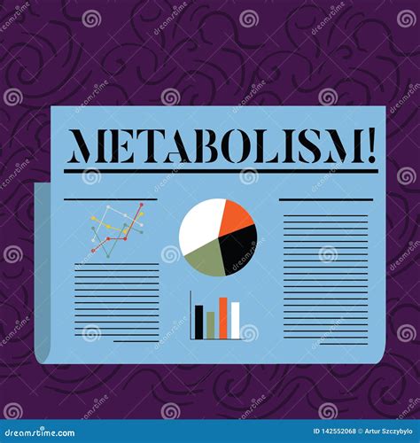 Text Sign Showing Metabolism Conceptual Photo Chemical Processes In Body To Produce Energy Food