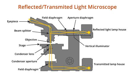Index Of Images LM Module