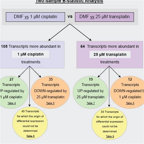 Overview Of The Two Sample Comparison B Statistic Analysis This Download Scientific Diagram