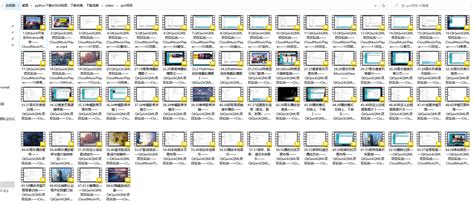 bilibili视频合集下载，python实现 python下载b站视频 csdn博客