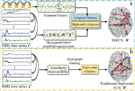 Figure 1 From Constructing High Order Functional Connectivity Networks With Temporal Information