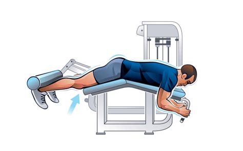Dumbbell Hamstring Curl