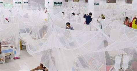 ডেঙ্গু আক্রান্তের সংখ্যা ১৮ হাজার ছাড়াল মৃত্যু ৬৭