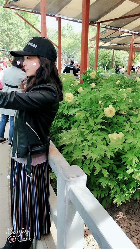 洛陽賞牡丹 每日頭條