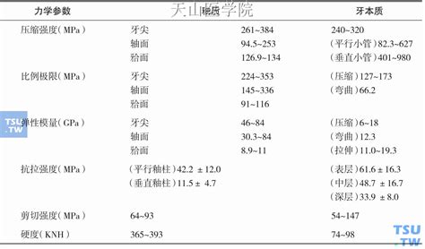 【附图】牙釉质和牙本质的基本力学性质 口腔医学 天山医学院