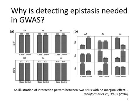 A Brief Introduction To Epistasis Detection Ppt