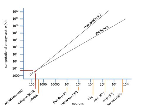 The Computational Energy Cost Of Artificial Neural Complexity After Download Scientific