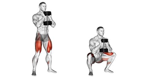 Master The Goblet Squat Strengthen Your Lower Body And Core Fitness Volt