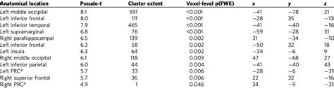 Peaks Of The Significant Single Trial Rsa Searchlight Clusters