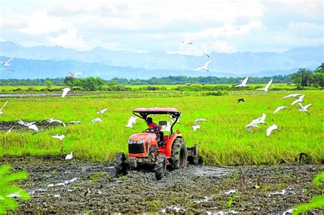 Da Reports Increase In Rice Production Inquirer News
