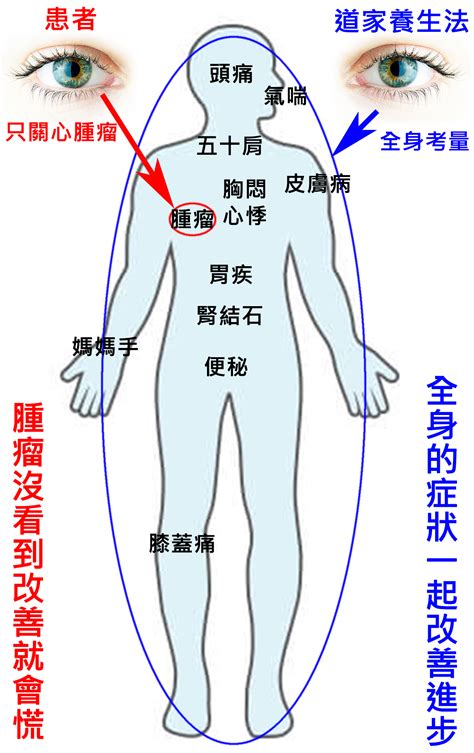 道家養生法
