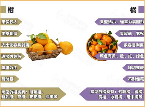 梧株馍叹船淮拐往汉热擂 知乎
