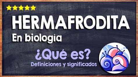 🙏 ¿qué Es Hermafrodita Significado De Hermafroditismo En Biología Y
