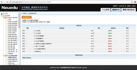 东软睿道睿鼎教学实训平台