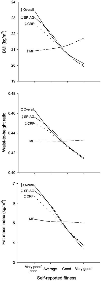 Differences In Adiposity Indicators According To Categories Of
