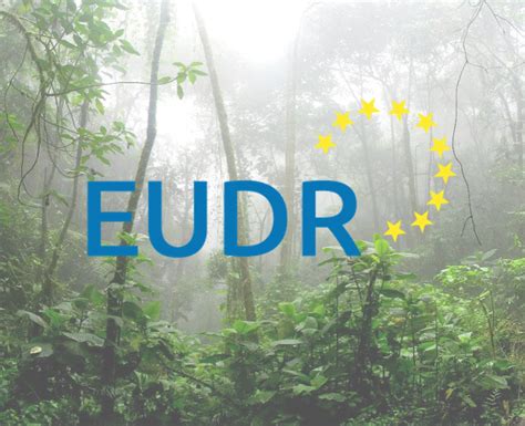Busting 3 Myths About Deforestation Monitoring For The Eudr — Gfw Pro