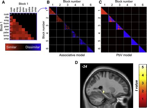 Model Based Representational Similarity Analyses Of Test Trials A Download Scientific Diagram
