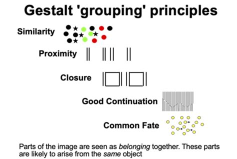 Lec 1 Object Perception Flashcards Quizlet