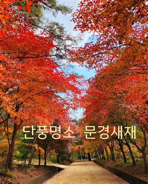 문경새재 가을 단풍명소 네이버 블로그
