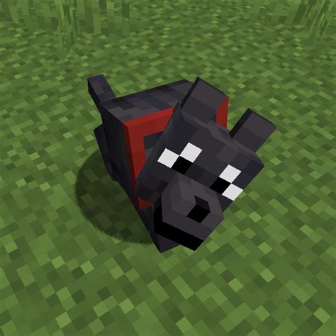 Wolf Variants Minecraft Resource Pack