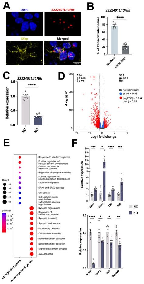 Non Coding Rna An Open Access Journal From Mdpi