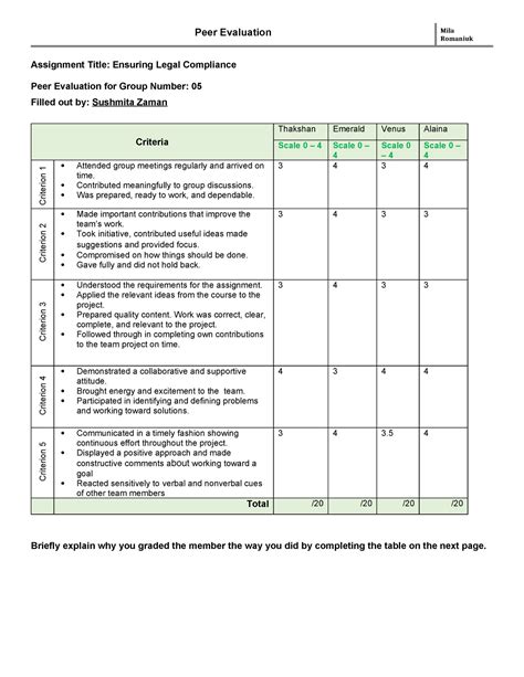 Peer Evaluation TAP 1 Appendix To Actual Assignment Peer Evaluation Mila Romaniuk Assignment